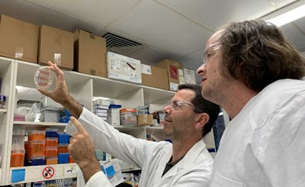 UTI research may lead to new treatments