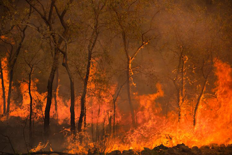 Ahead of bushfire season, ‘How well do you know fire?’ - The Indian Sun