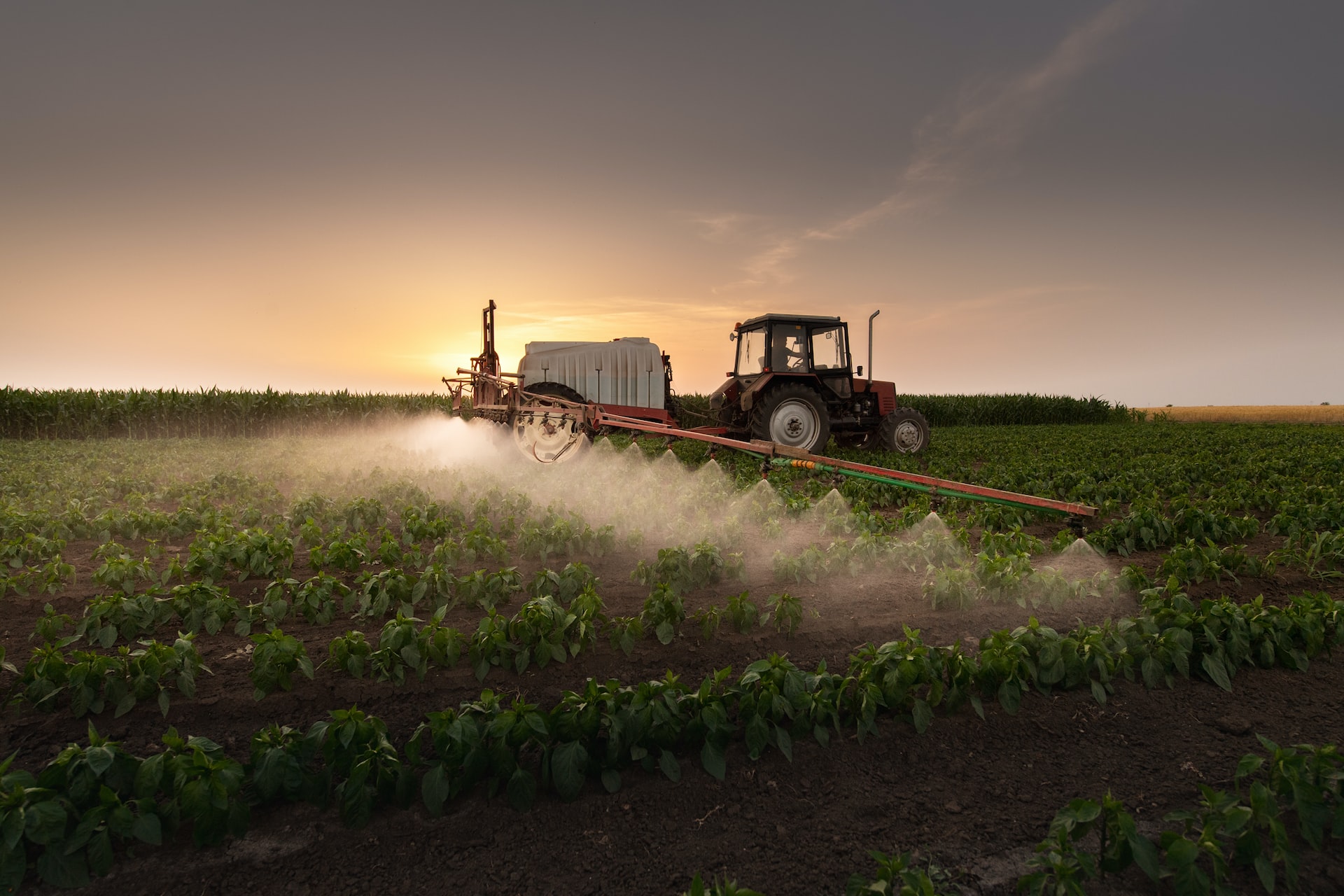 New Insecticide Formula Tackles Malicious Pests - The Indian Sun