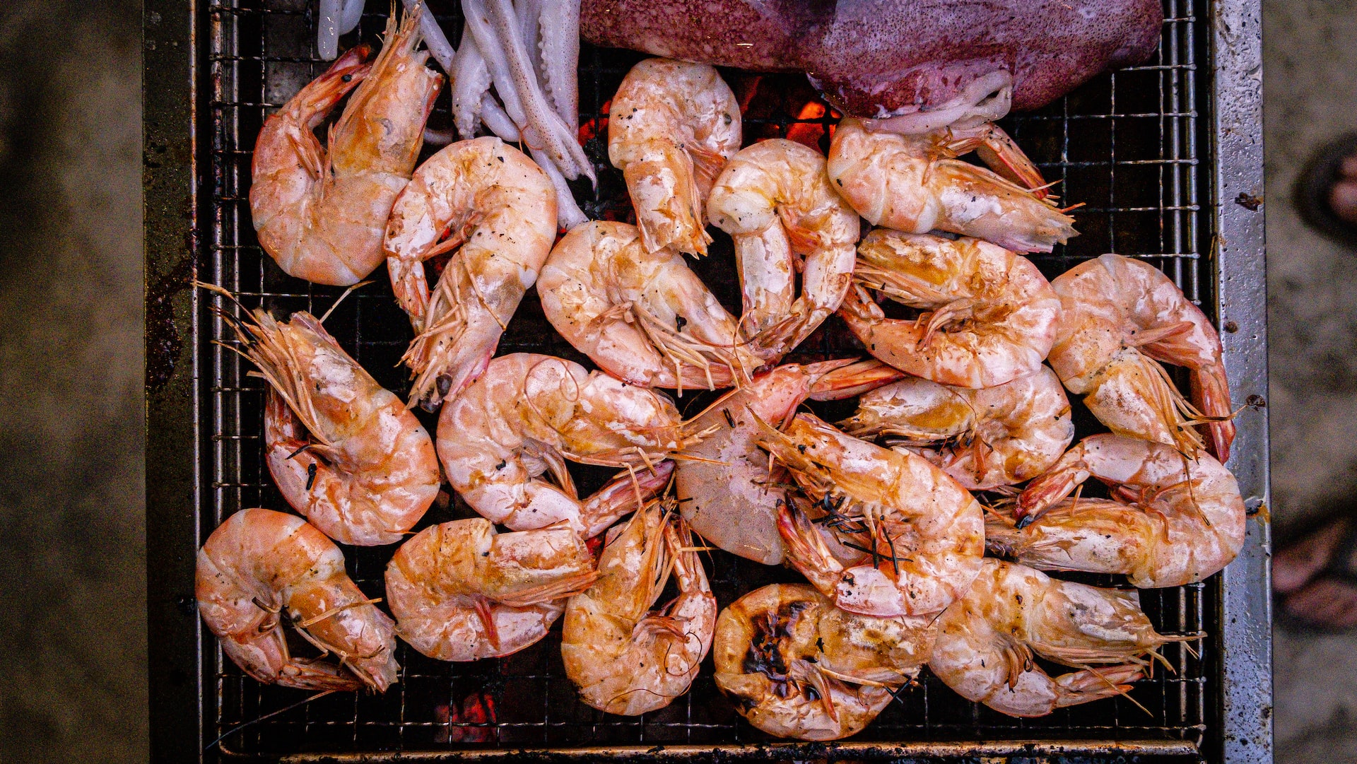 Massive Prawn Farm in Australia ‘Unviable’