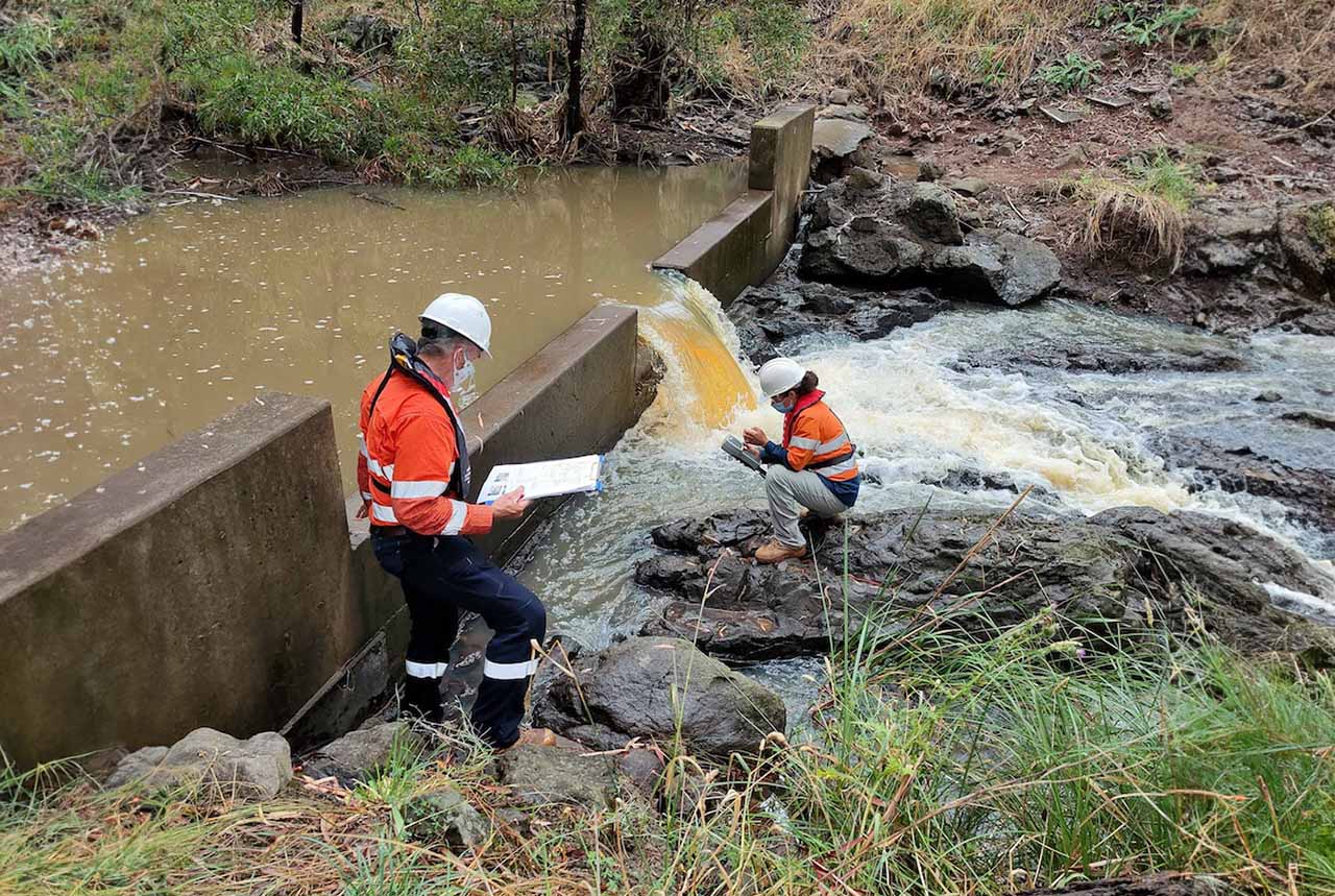 Parramatta embarks on groundbreaking eDNA quest for biodiversity - The ...