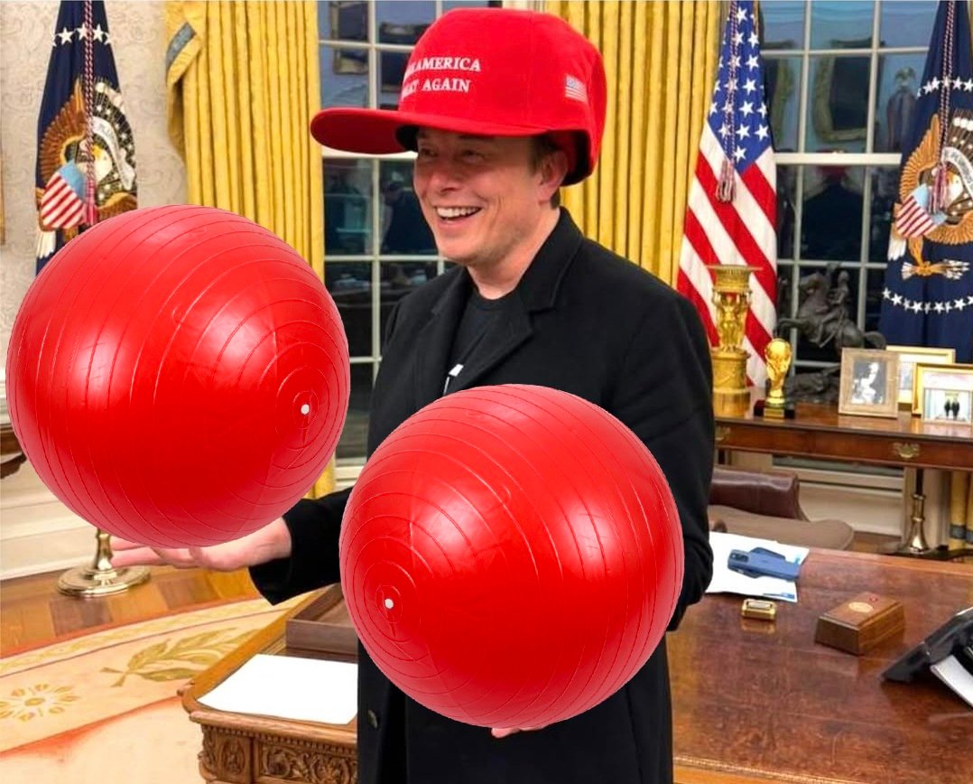 Big Balls, bigger rift: How Indian-origin devs are clashing over DOGE