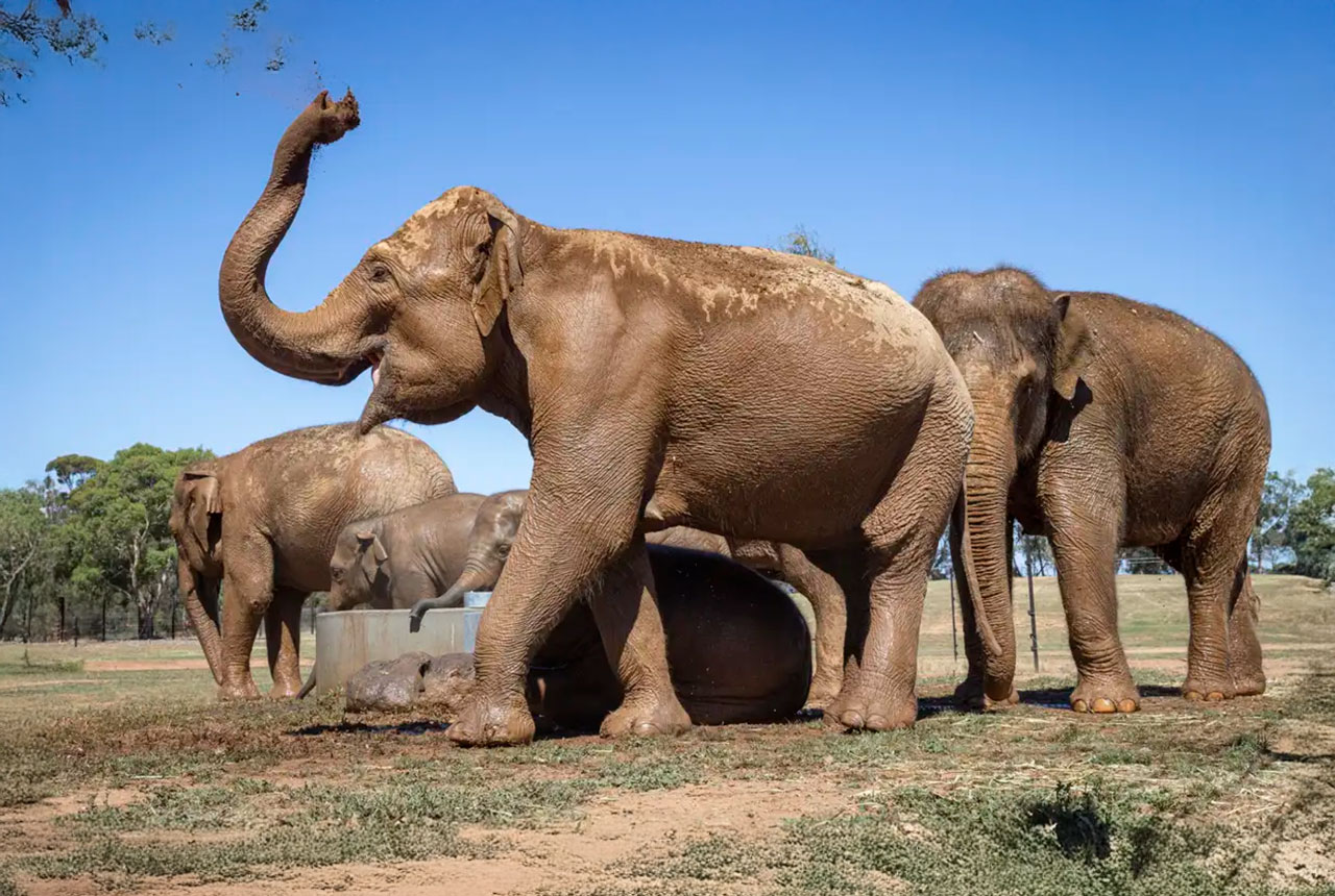 Kids free these holidays as zoos, museums and parks open the gates