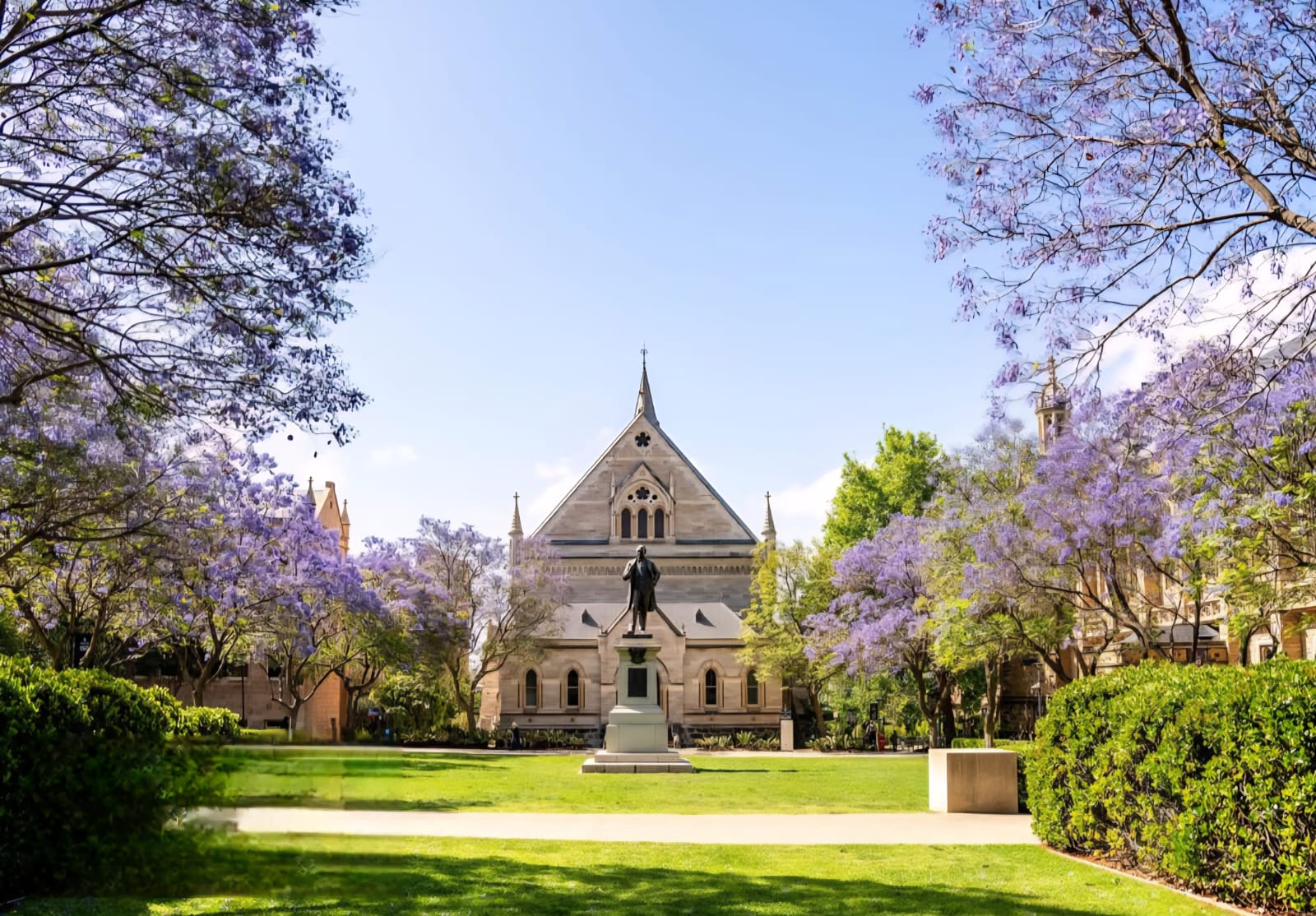 Government backs pharmacist training to expand local healthcare access - The Indian Sun